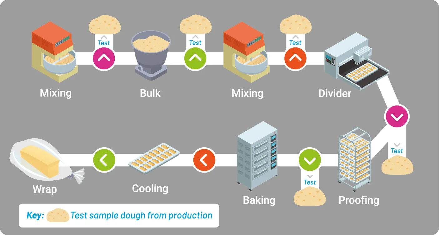 Mixolab 2 通用面团分析，包括 Farinograph® 值 | KPM Analytics